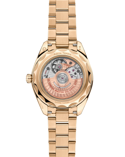 Women's OMEGA Watches