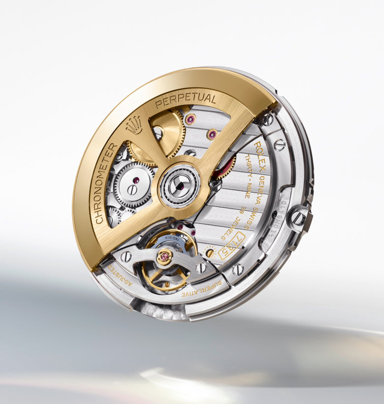 New Rolex Land-Dweller Watches 2025 | Watches of Switzerland